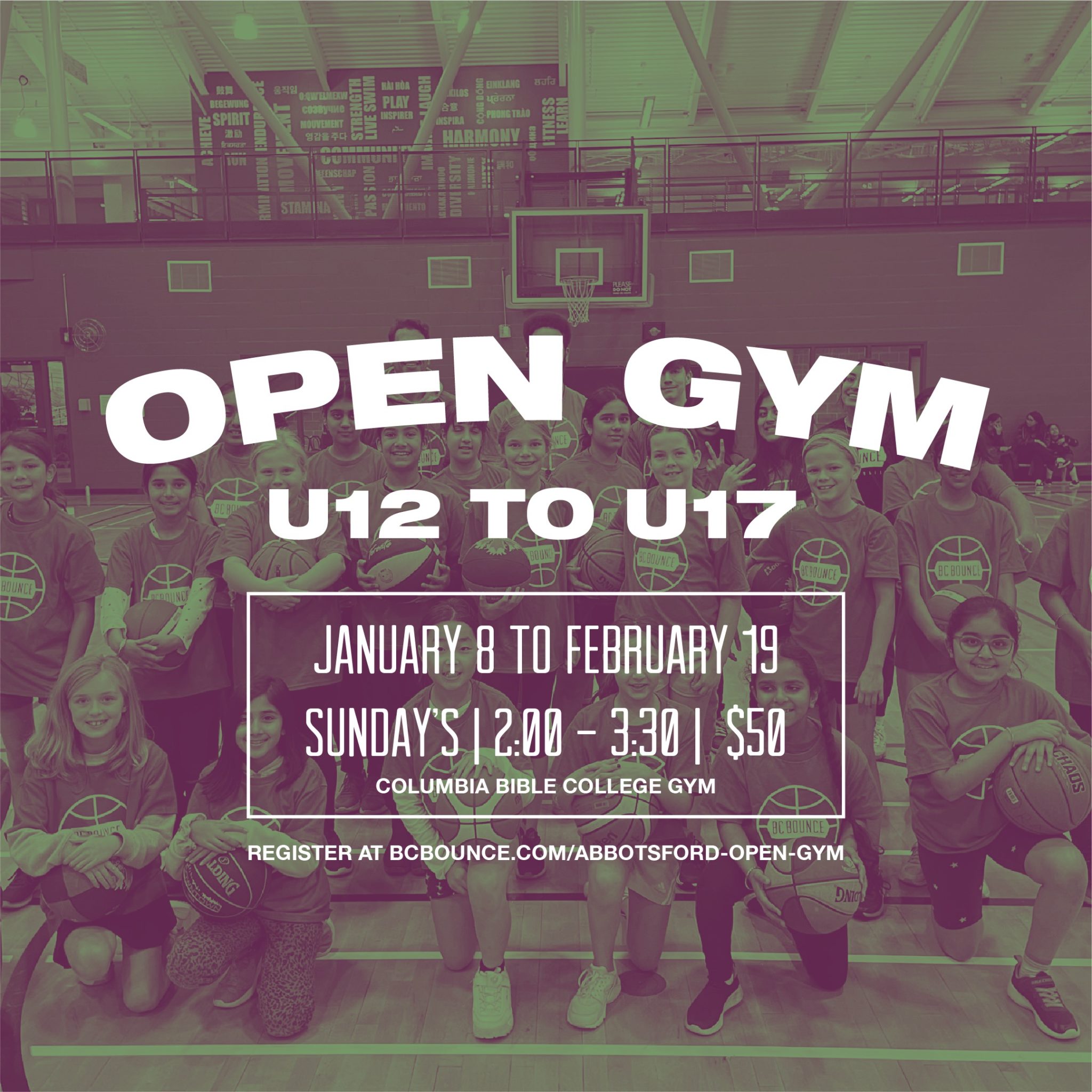 Abbotsford Open Gym – BC Bounce